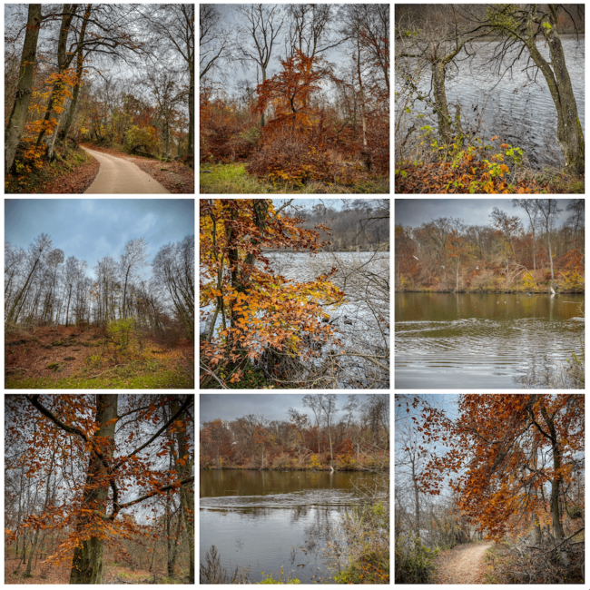 Coye-la-Forêt - Promenades