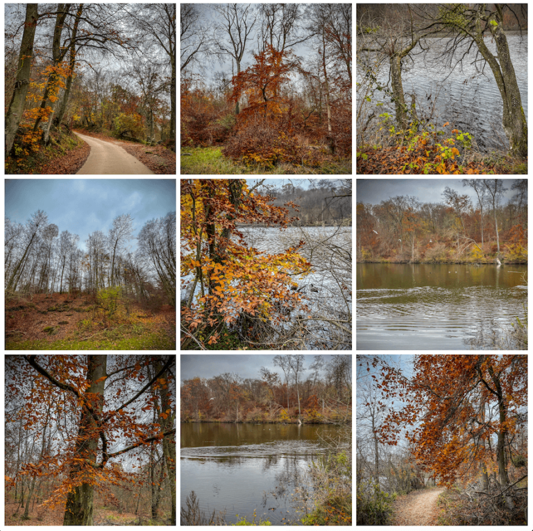 Coye-la-Forêt - Promenades