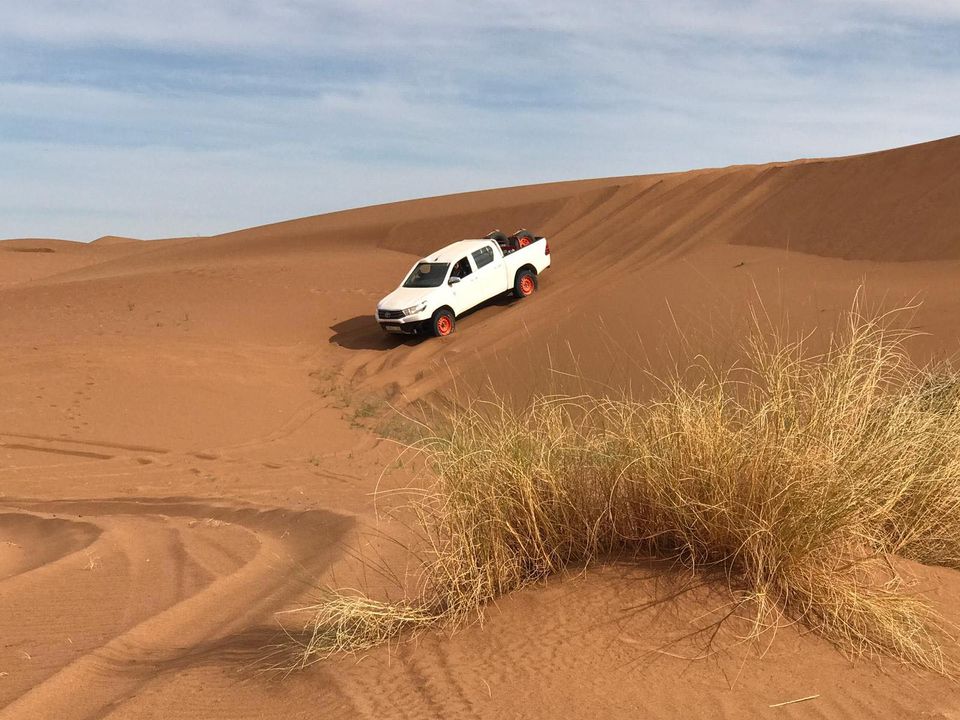 Les Gazelles de Coye - Coye-la-Forêt